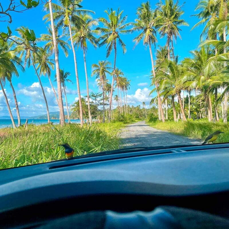 Scenic Drives in Palawan: Your Ultimate Road Trip Guide